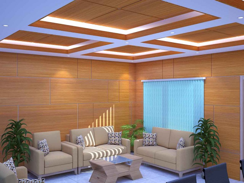 Executive Office Ceiling Design